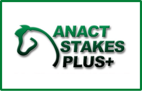 Numeri batterie GP Anact Stakes Plus+ 2024 – Associazione Nazionale ...